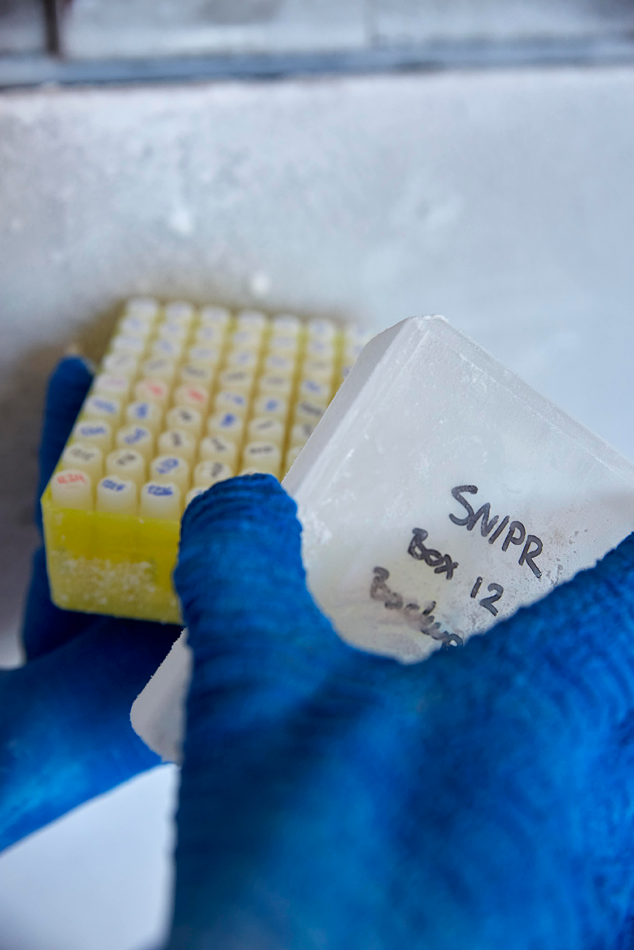 Membership Types & Fee - Pharmadanmark